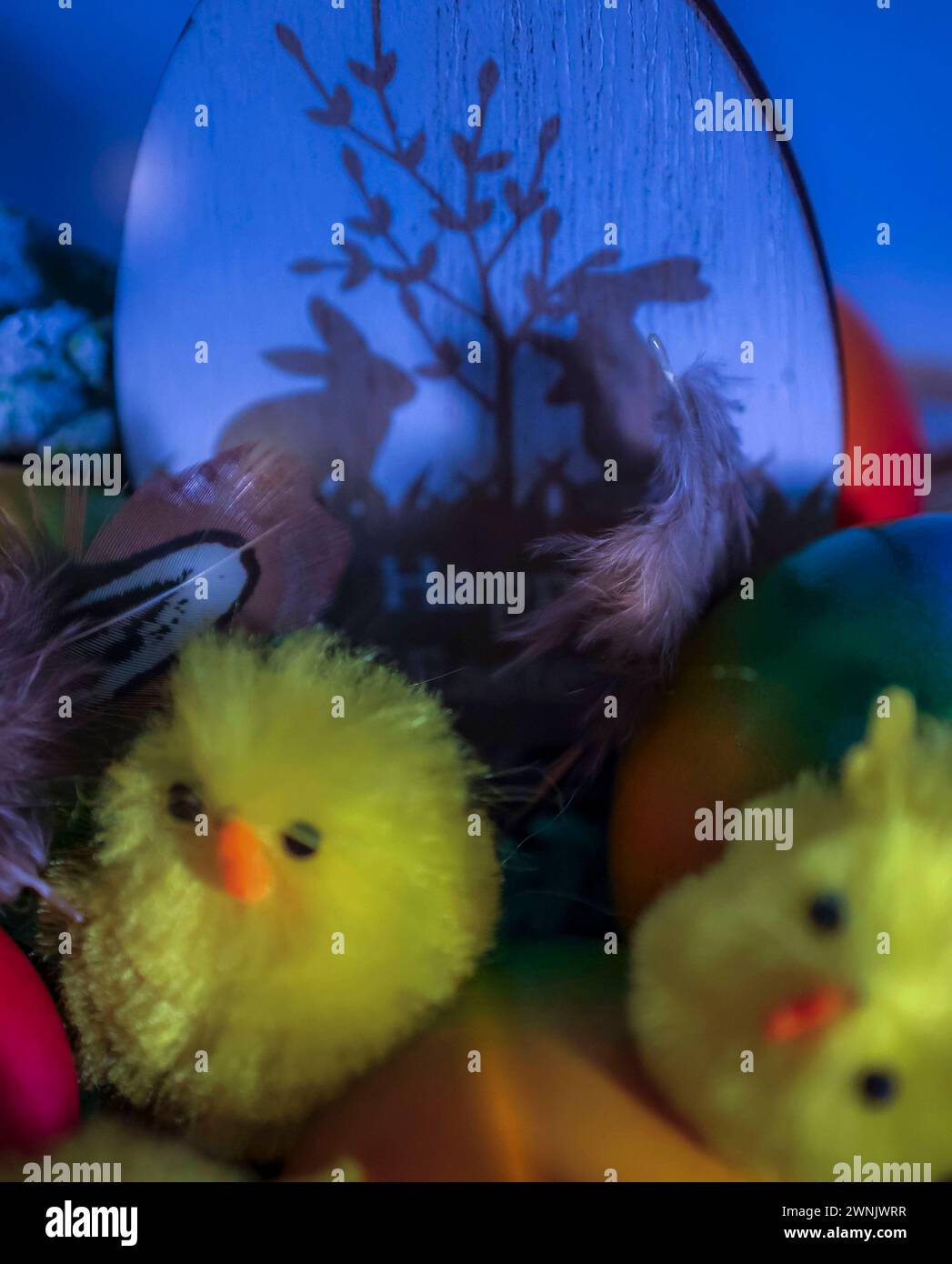 01.03.2024, Handenberg, AUT, Unterwegs in Oberösterreich, Themenbild ...