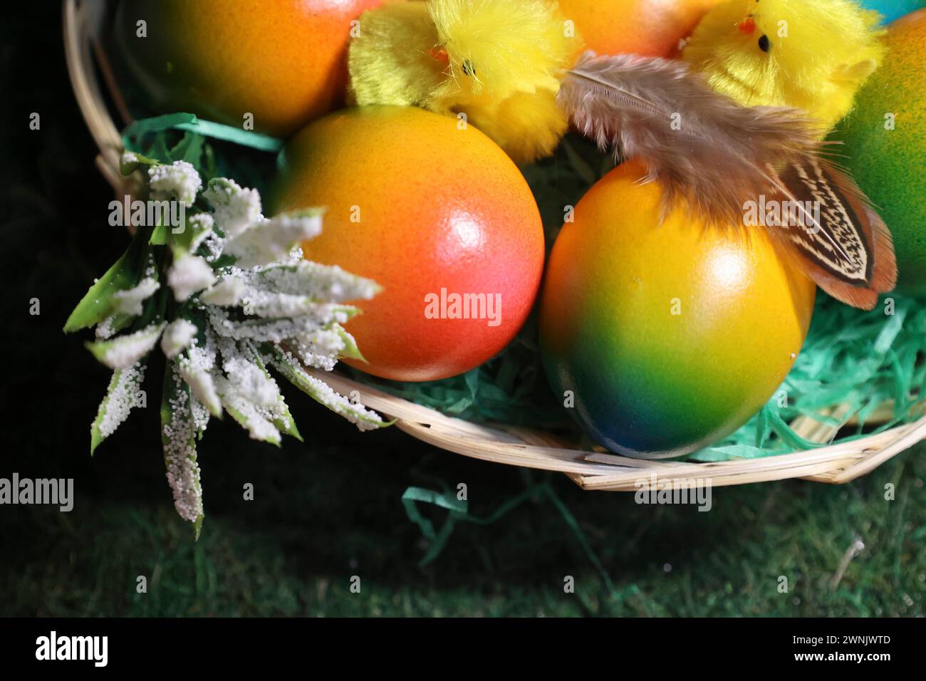 01.03.2024, Handenberg, AUT, Unterwegs in Oberösterreich, Themenbild ...