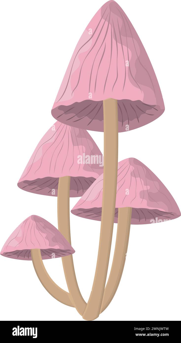 Colored realistic mushroom Vector Stock Vector Image & Art - Alamy