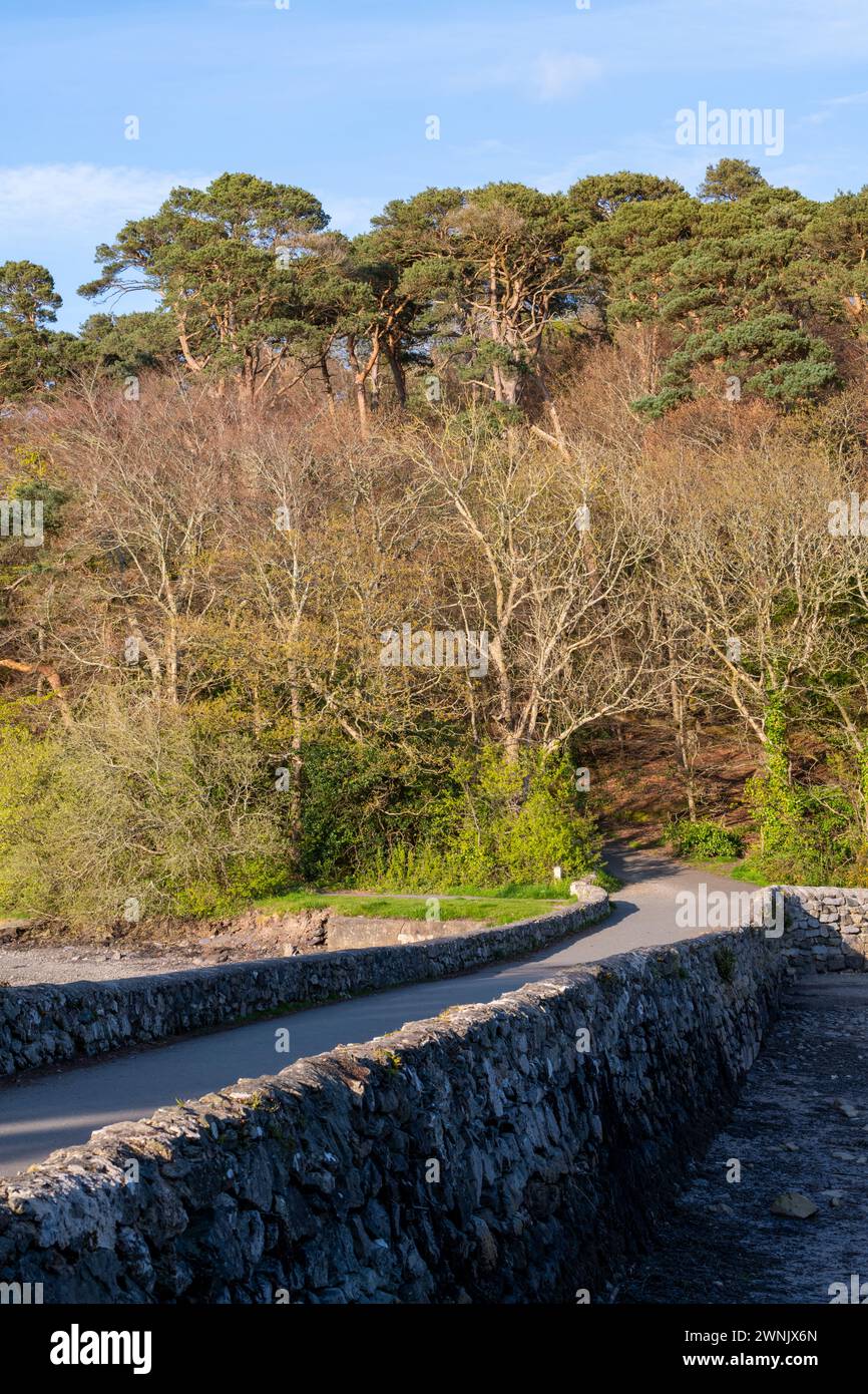 Causeway path to Church Island near Menai Bridge, Anglesey, North Wales ...
