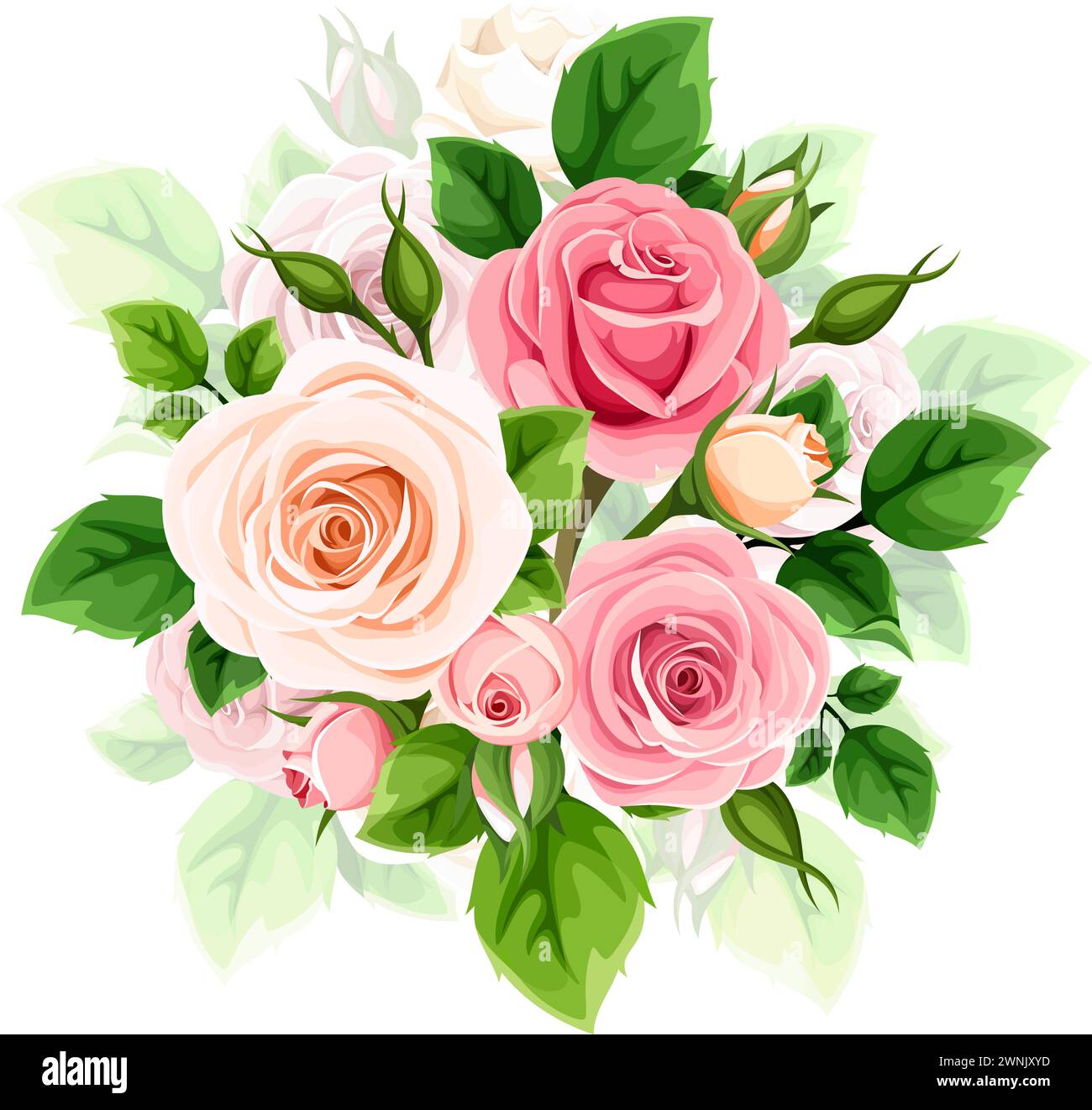 Rose bouquet. Pink and white rose flowers bouquet isolated on a white ...