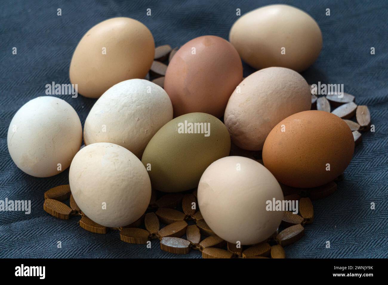 Multi-colored large chicken eggs from domestic chickens Stock Photo - Alamy
