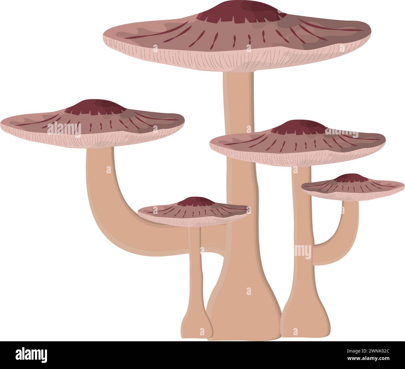 Colored realistic mushroom Vector Stock Vector Image & Art - Alamy