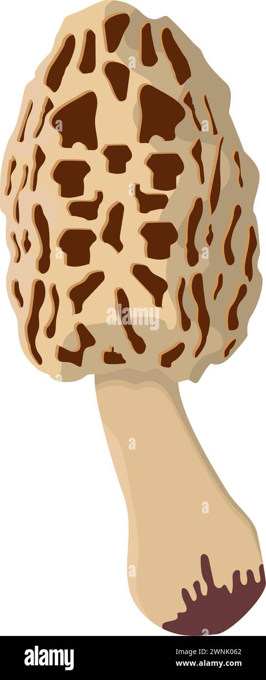 Colored realistic mushroom Vector Stock Vector Image & Art - Alamy