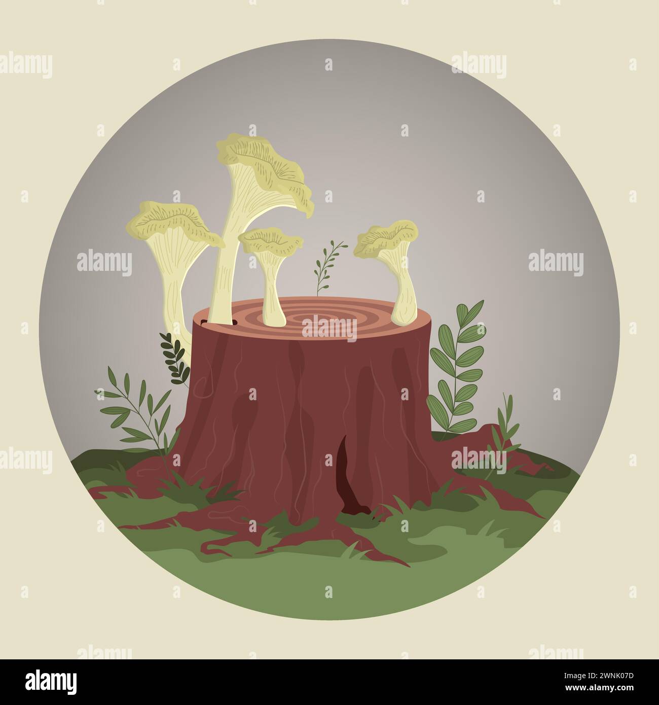 White mushroom on log Stock Vector Images - Alamy