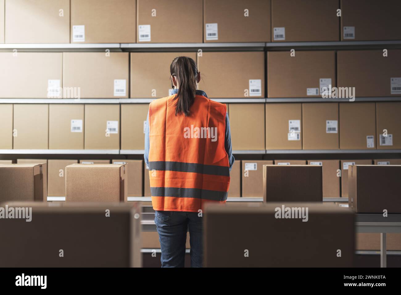 Female warehouse worker checking boxes on the conveyor belt, back view Stock Photo - Alamy