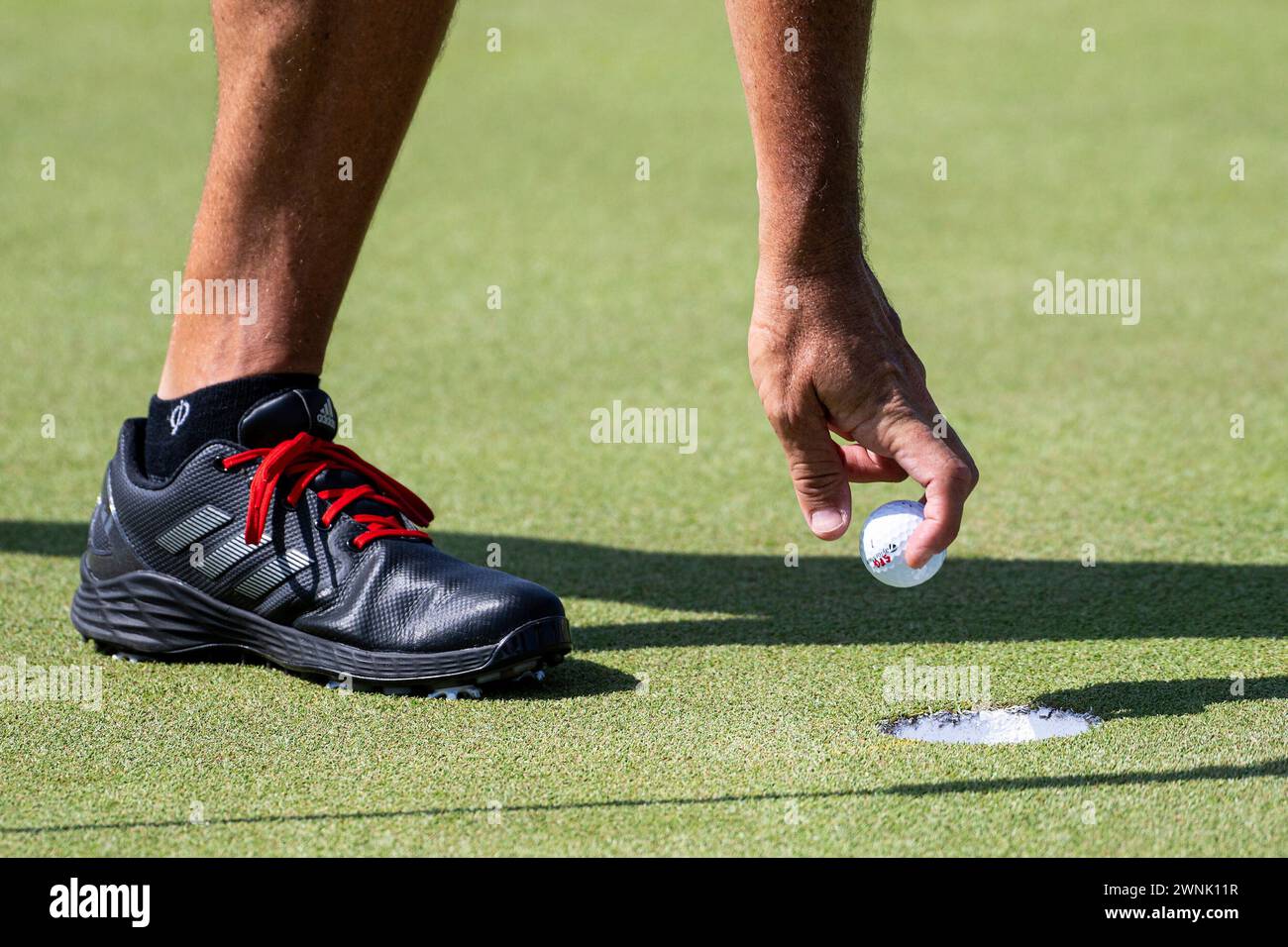 The shoes worn by Captain Sergio Garcia of Fireballs GC on the putting ...