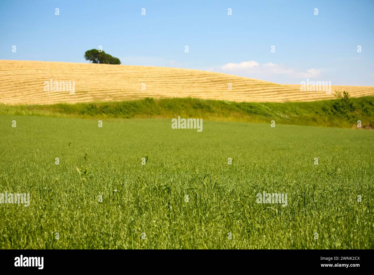 Rural scene featuring hi-res stock photography and images - Alamy