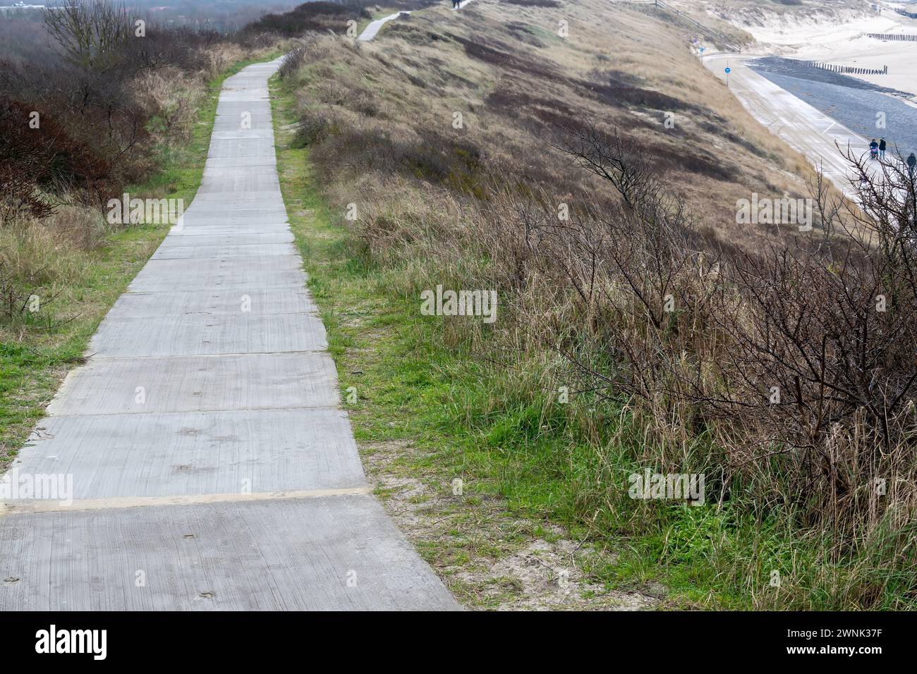 wide path high above the dunes on the north sea Zeeland Netherlands ...