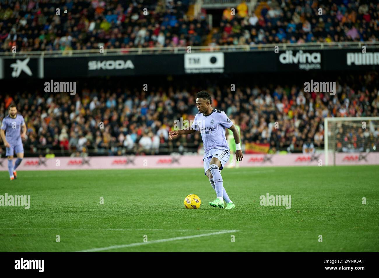 Vini junior hi-res stock photography and images - Alamy