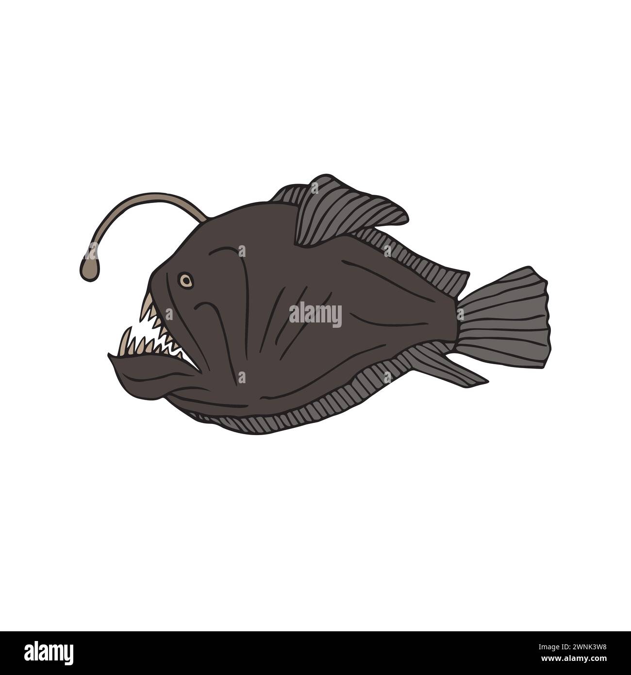 Vector hand drawn doodle sketch colored angler fish isolated on white background Stock Vector ...