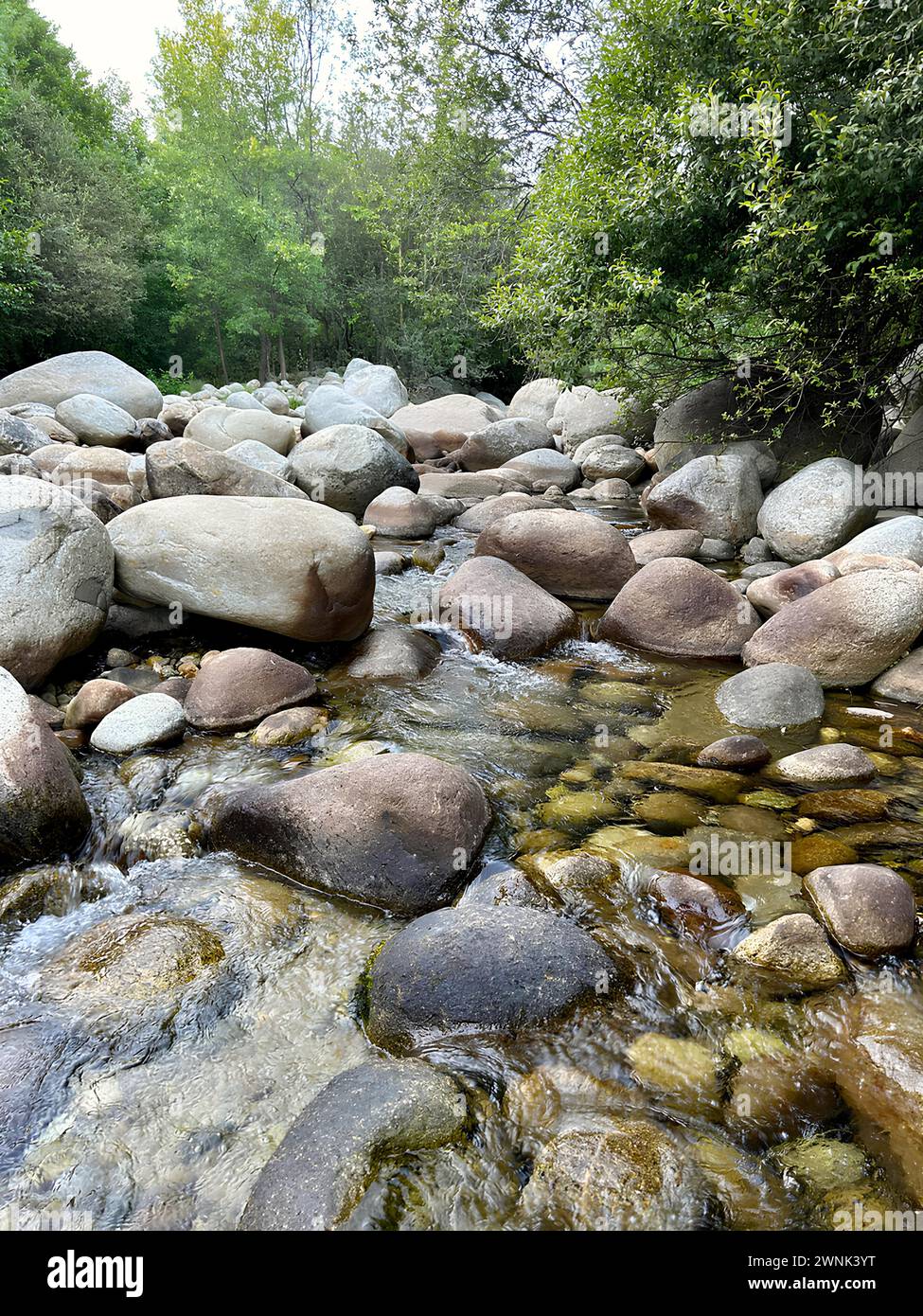 La vera region landscape hi-res stock photography and images - Alamy