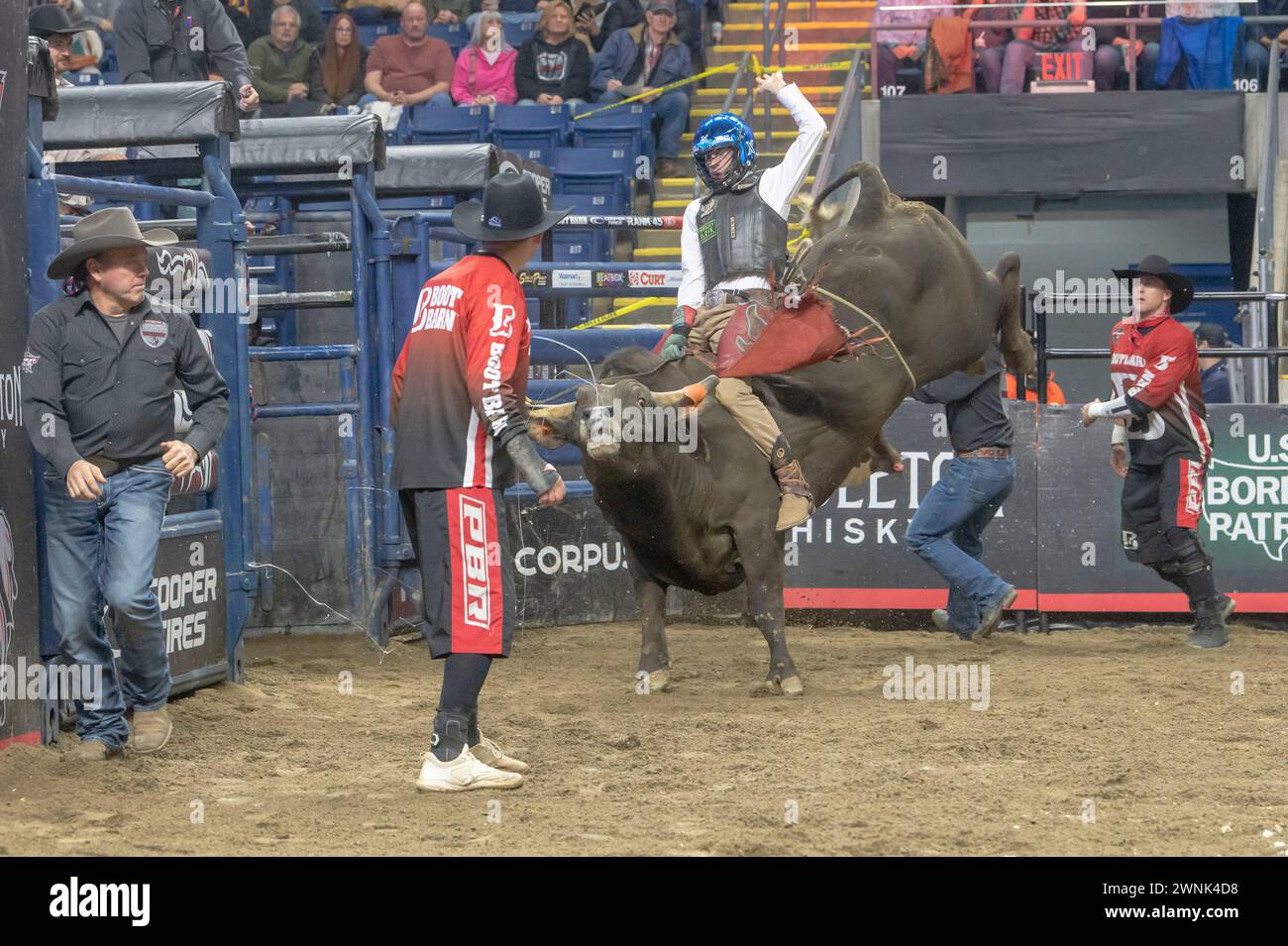 Bridgeport, United States. 02nd Mar, 2024. BRIDGEPORT, CONNECTICUT ...