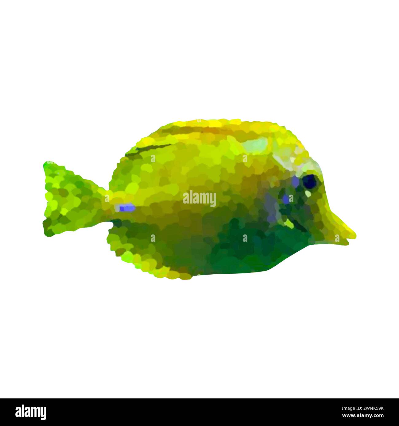 Vector illustration tropical fish on white background. Tropical sea ...