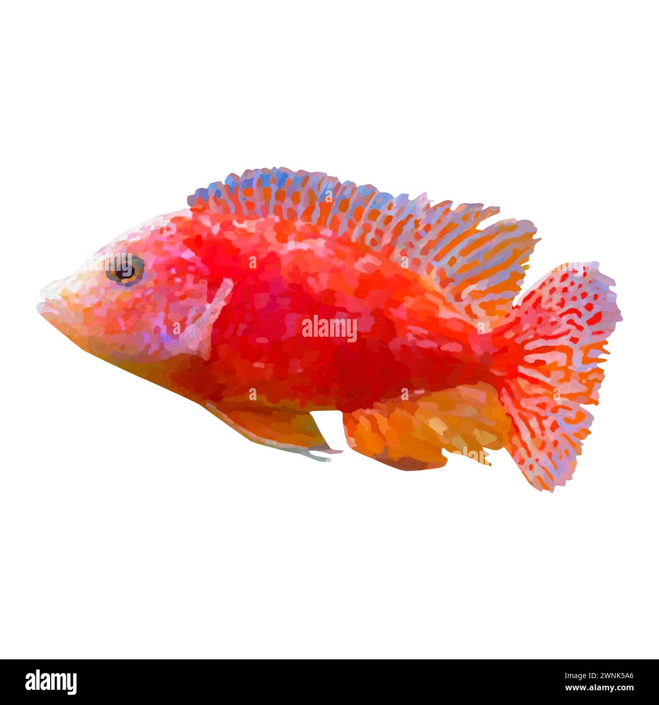 Vector illustration tropical fish on white background. Tropical sea ...