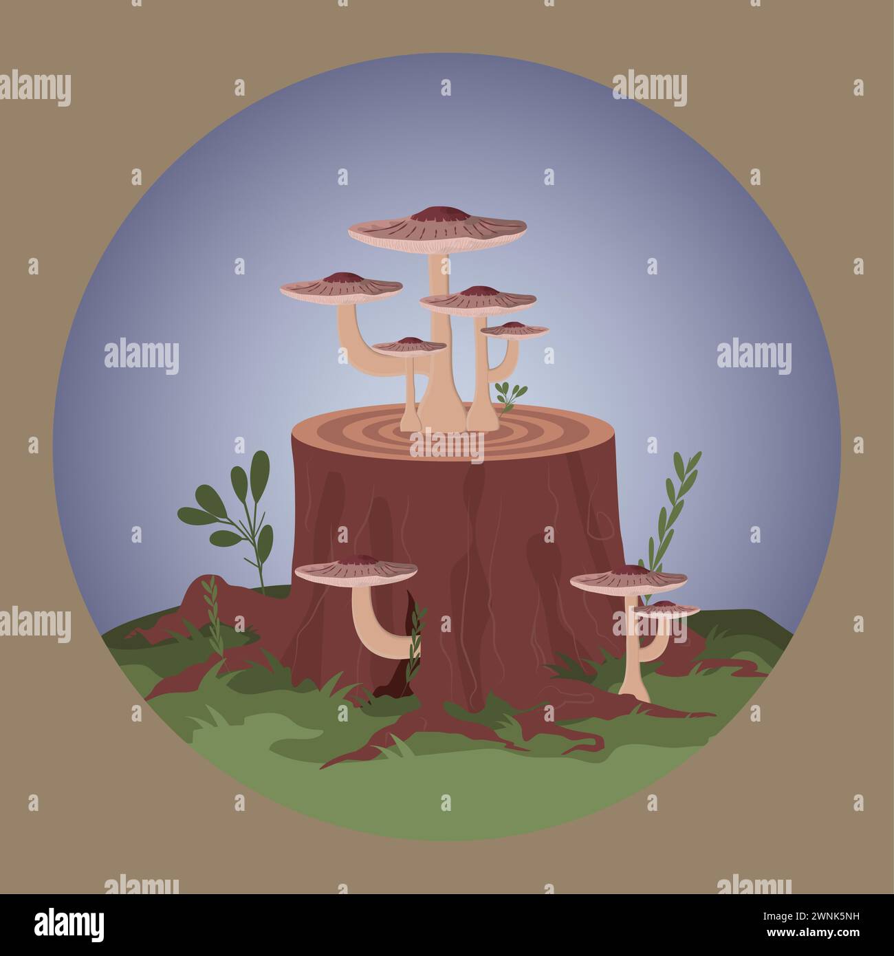 Colored realistic mushroom on log Vector Stock Vector Image & Art - Alamy