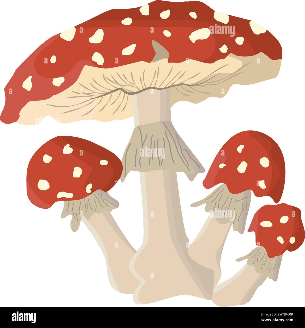 Colored realistic mushroom Vector Stock Vector Image & Art - Alamy