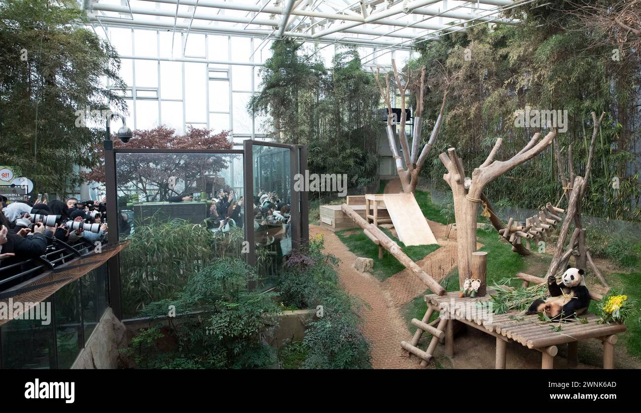 Seoul, South Korea. 3rd Mar, 2024. Tourists and journalists take photos ...