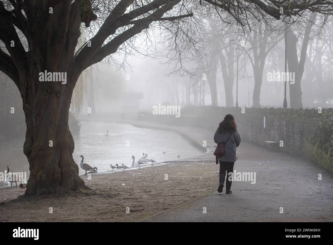 Uk fog 2024 hi-res stock photography and images - Alamy