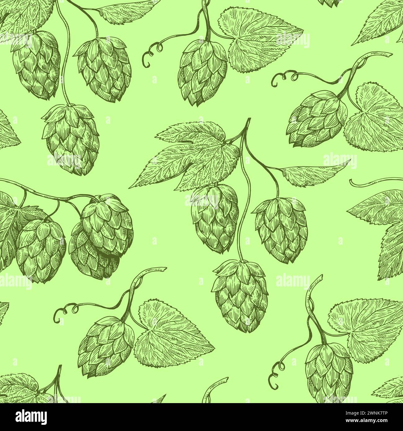 Seamless pattern with hop cones in vintage engraving style. Hand-drawn ...