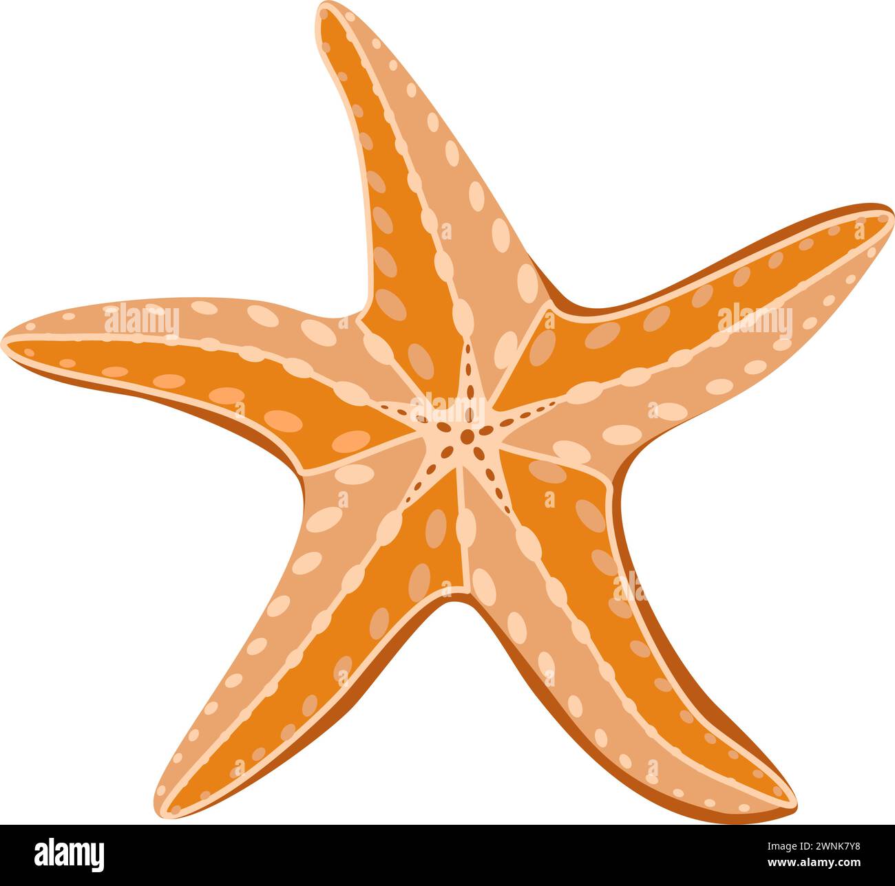 Starfish vector vectors hi-res stock photography and images - Alamy