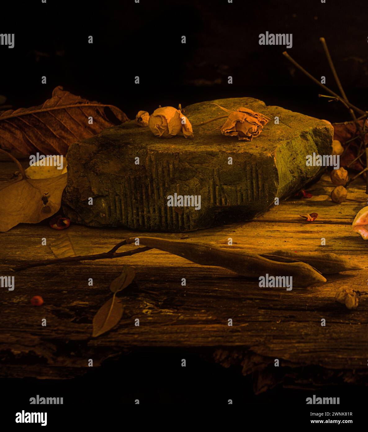 Skull and bone medieval manuscript hi-res stock photography and images ...