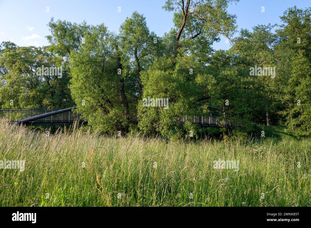 A pedestrian bridge over the Eder river in Germany, with green nature ...
