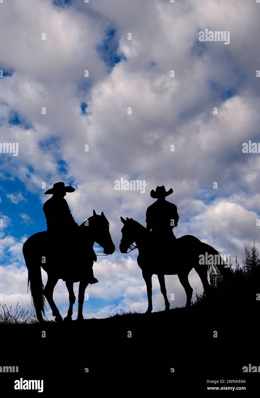Cowboys on horses hi-res stock photography and images - Alamy