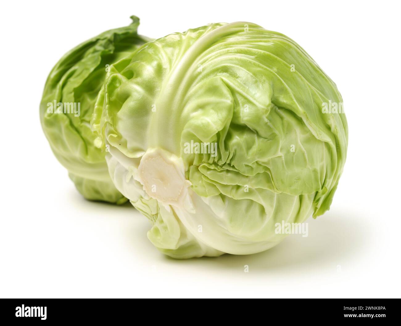 cabbage on white background Stock Photo - Alamy