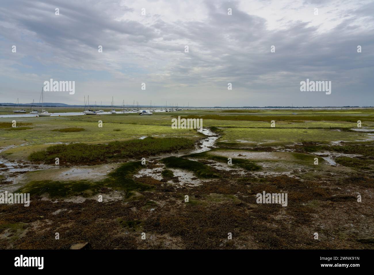 A dark, overcast summer morning looking out across the Mengham Salterns ...