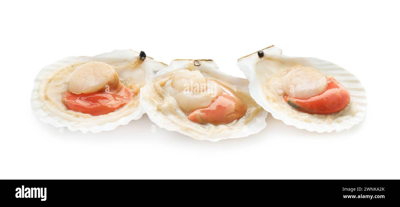 Scallops in shell Cut Out Stock Images & Pictures - Alamy