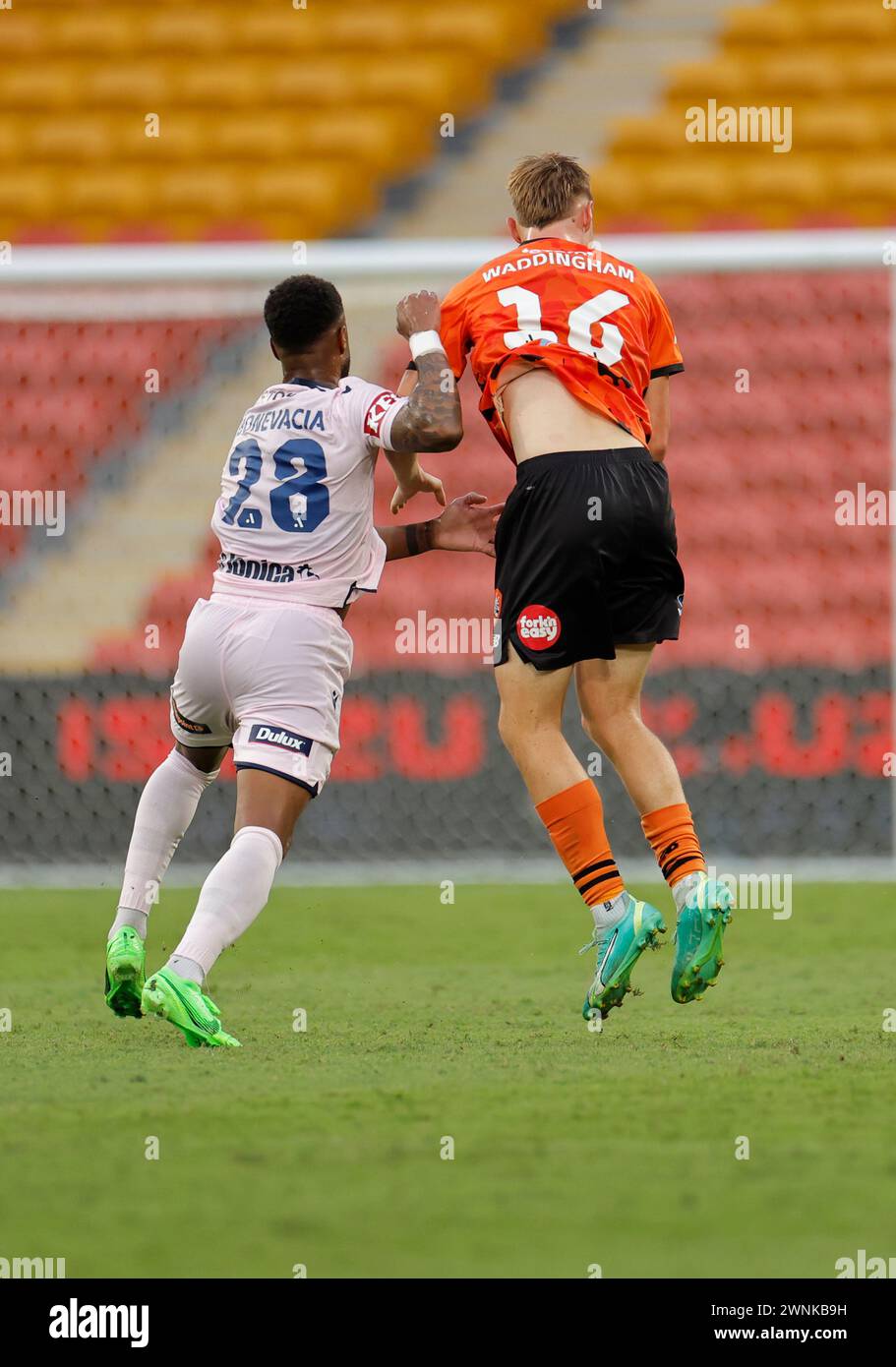 Roly bonevacia australia hi-res stock photography and images - Alamy