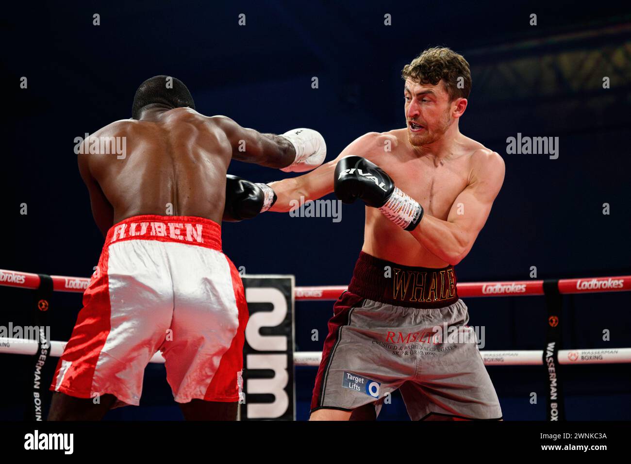 LONDON, UNITED KINGDOM. 01 Mar, 2024. Elliot Whale vs Fernando Mosquera ...