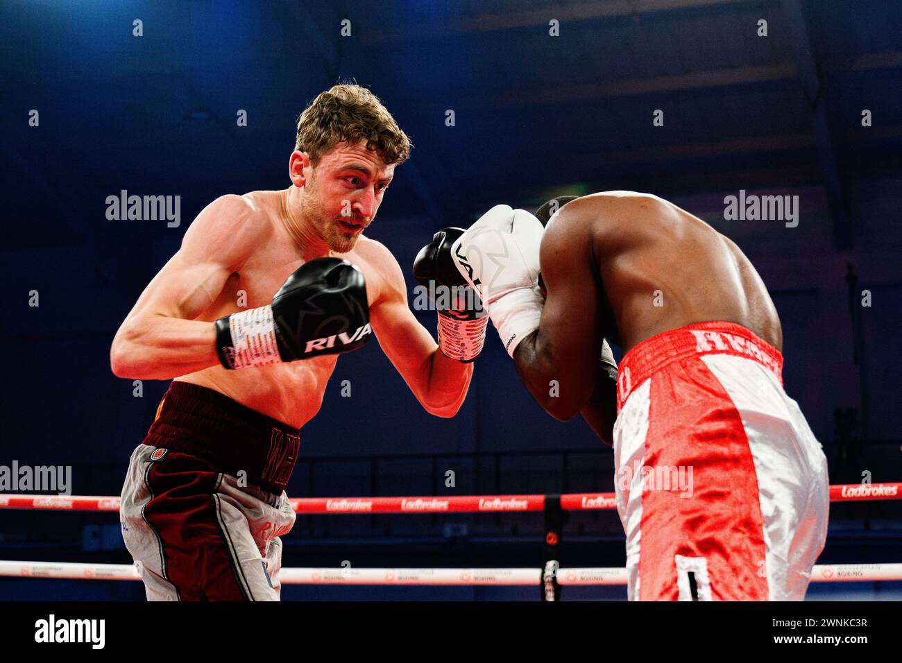 LONDON, UNITED KINGDOM. 01 Mar, 2024. Elliot Whale vs Fernando Mosquera ...