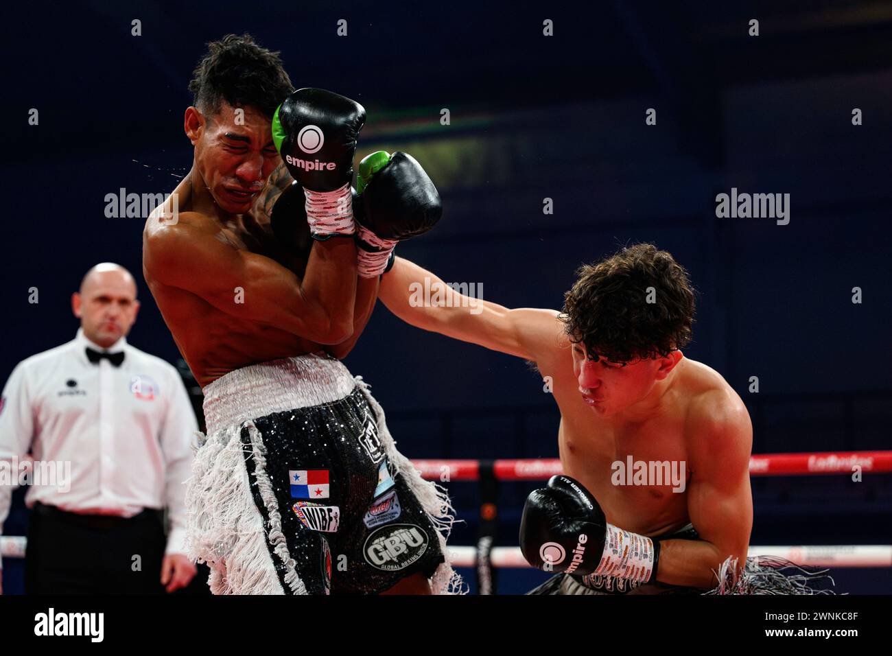 LONDON, UNITED KINGDOM. 01 Mar, 2024. Tom Welland vs Esteban - Featherweight bout during ...