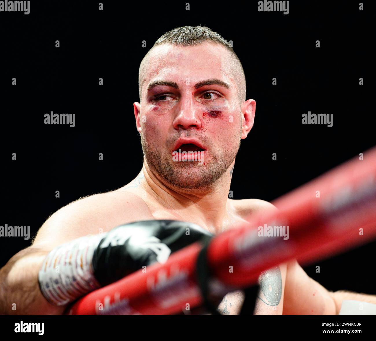 2024 ryan kelly hi-res stock photography and images - Alamy