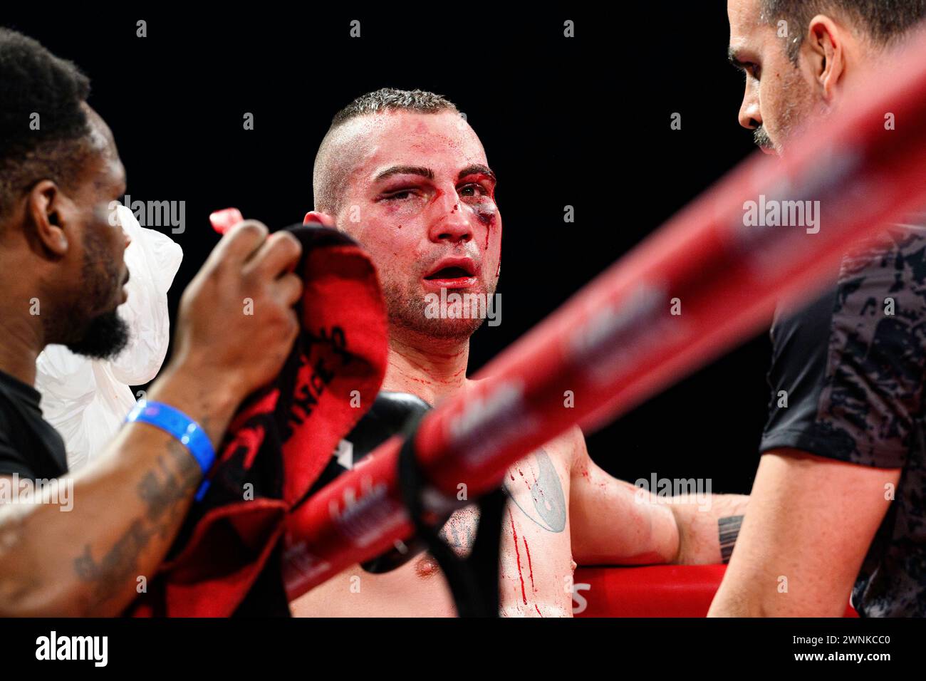 Ioan alexandru lutic hi-res stock photography and images - Alamy