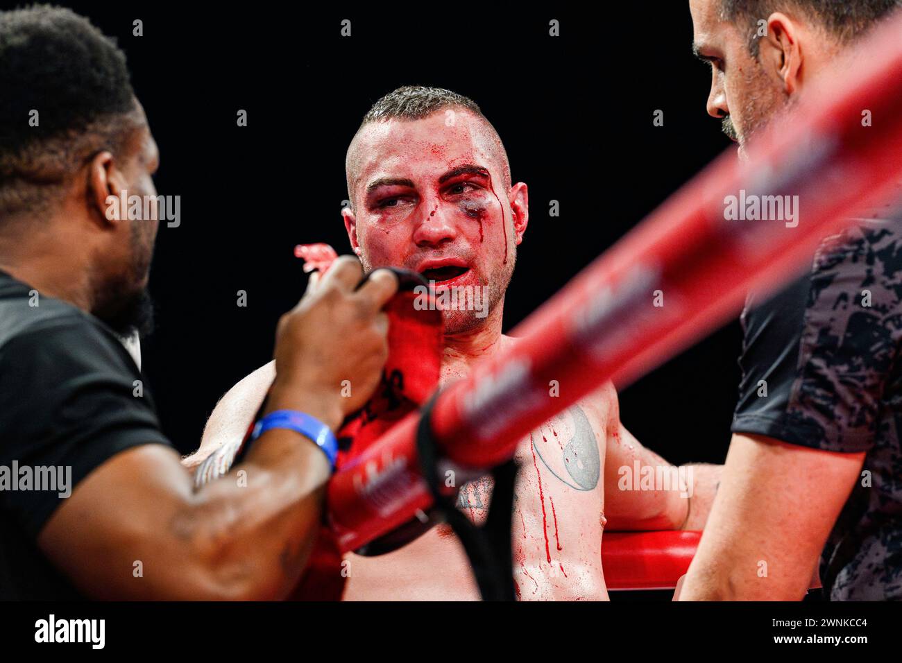 Ioan alexandru lutic hi-res stock photography and images - Alamy