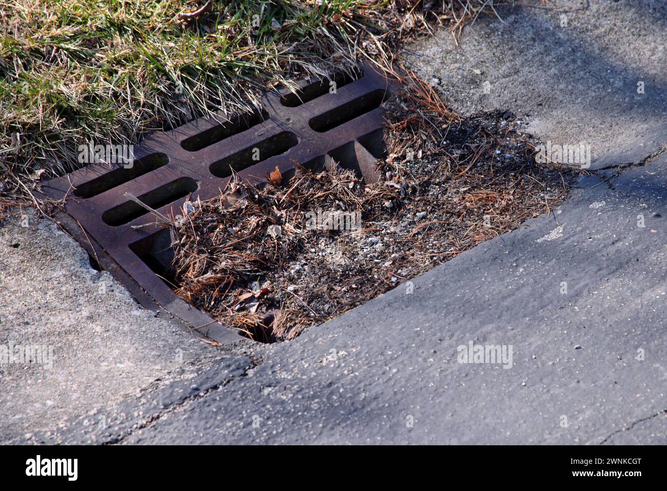 Roadside sewer drain blocked by debris with a grass lawn and asphalt ...