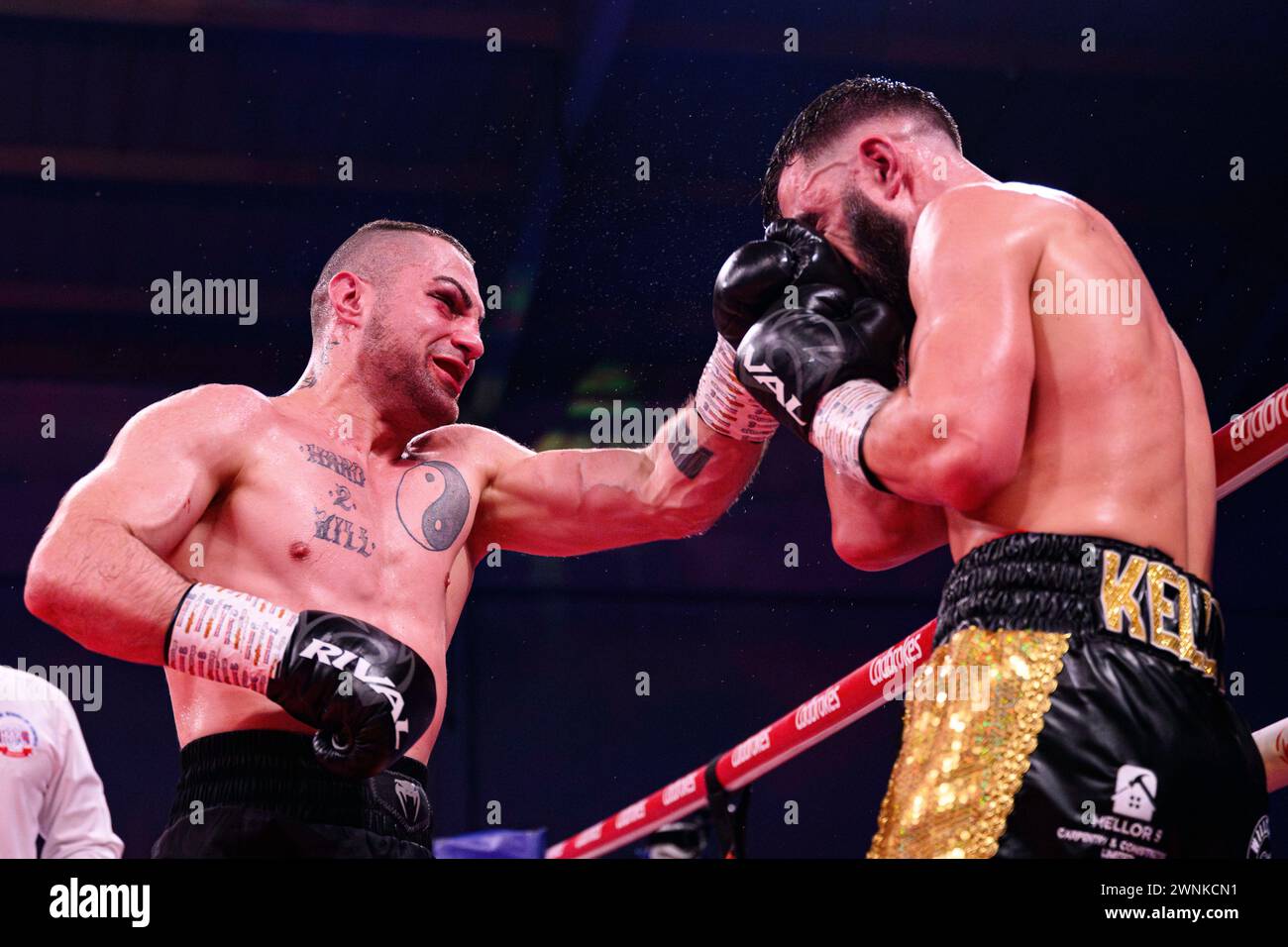 Kelly vs ioan hi-res stock photography and images - Alamy