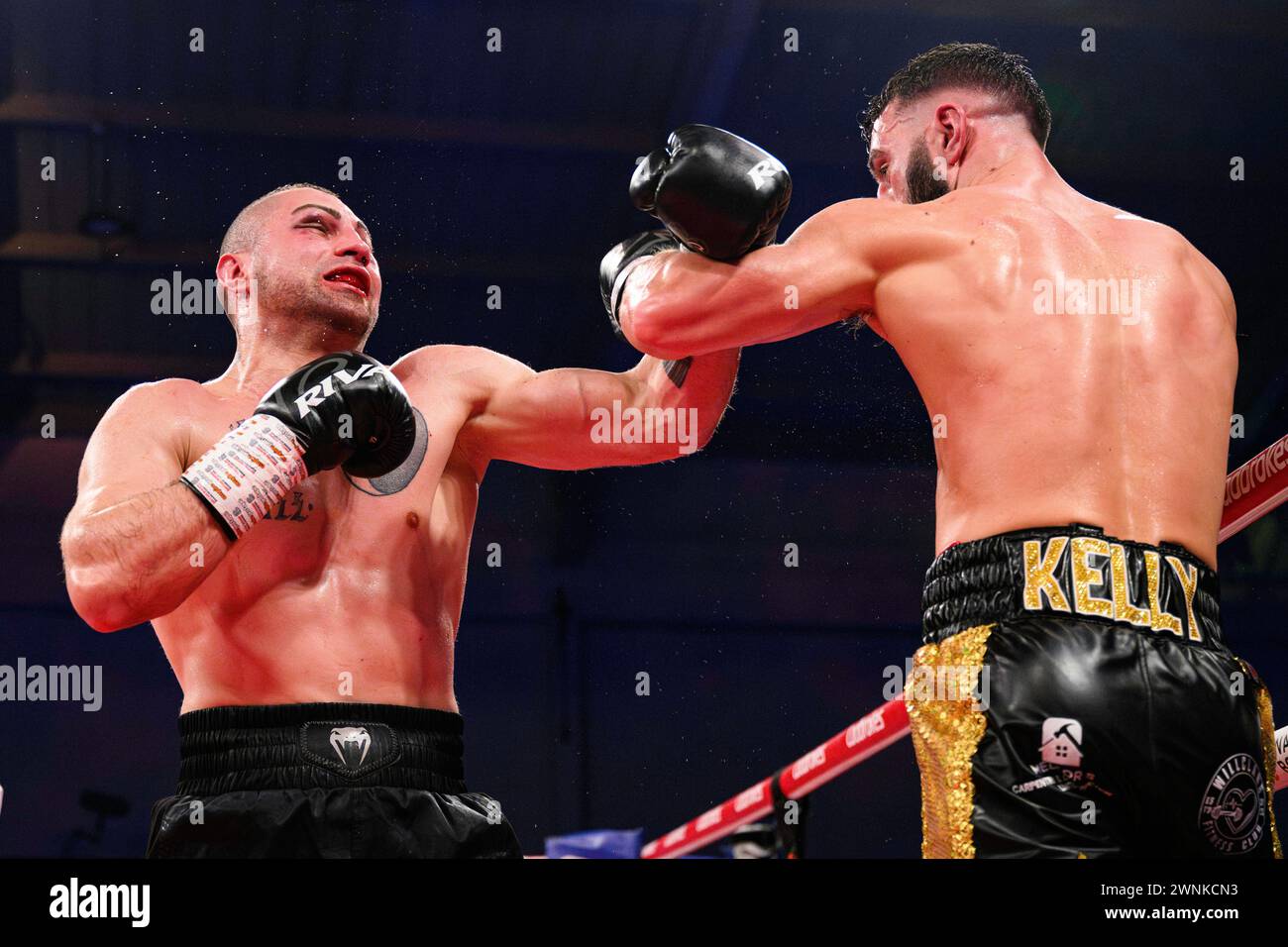 Ioan alexandru lutic hi-res stock photography and images - Alamy