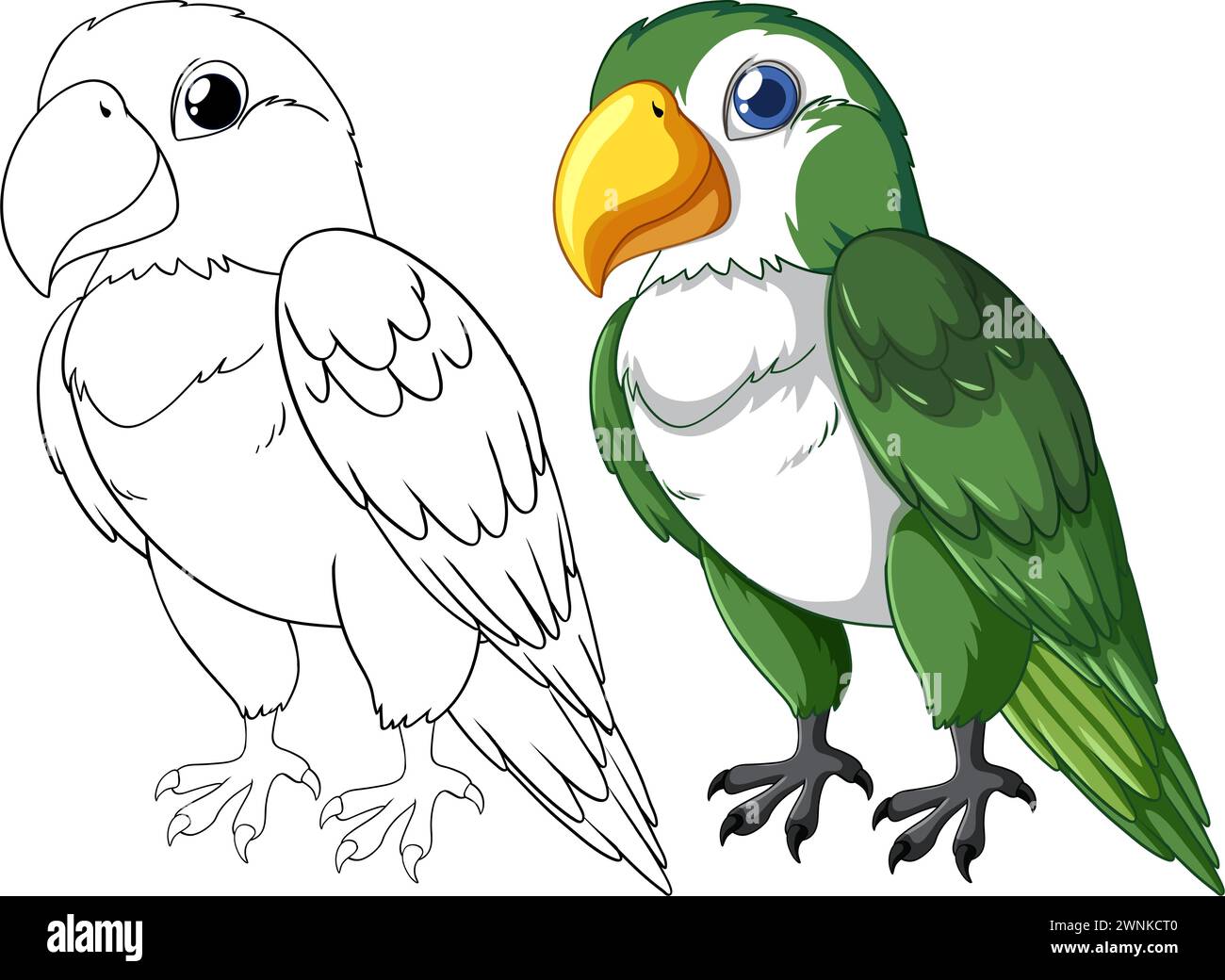 Vector illustration of a parrot, outlined and colored Stock Vector ...