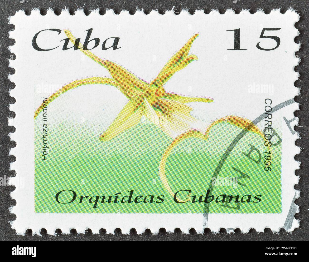 Cancelled postage stamp printed by Cuba, that shows Polyrahiza lindeni ...
