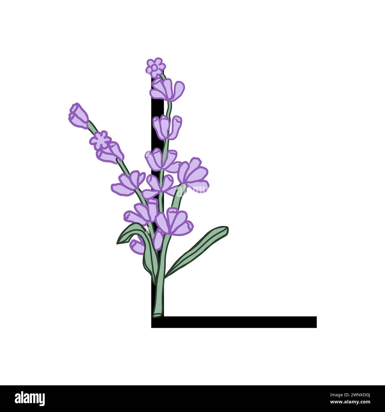 Lavender blossom violet little flower alphabet for design of card or ...