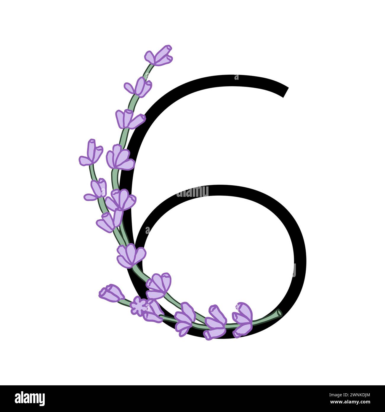 Lavender blossom violet little flower hand drawing number for wedding ...