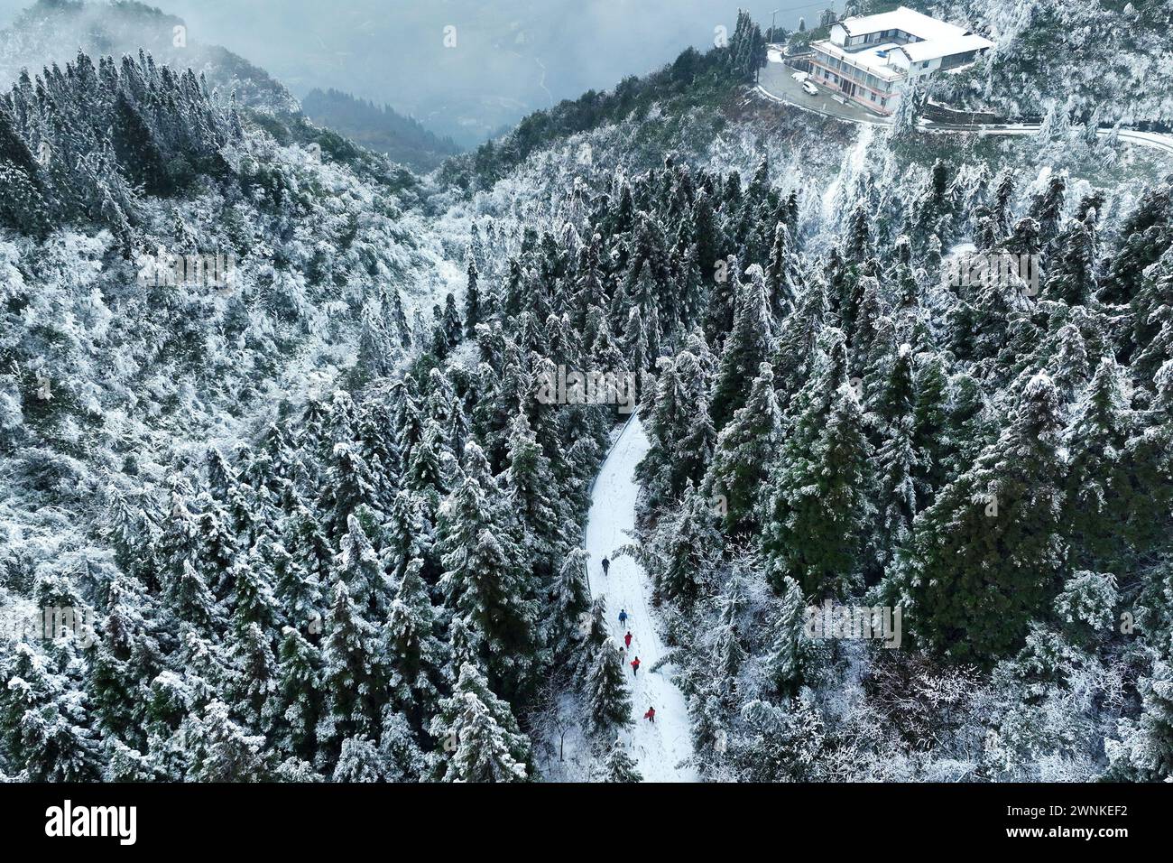 CHONGQING, CHINA - MARCH 2, 2024 - Tourists enjoy the snow scenery at ...