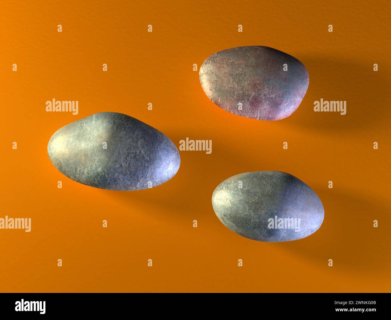 Oval shaped surface hi-res stock photography and images - Alamy