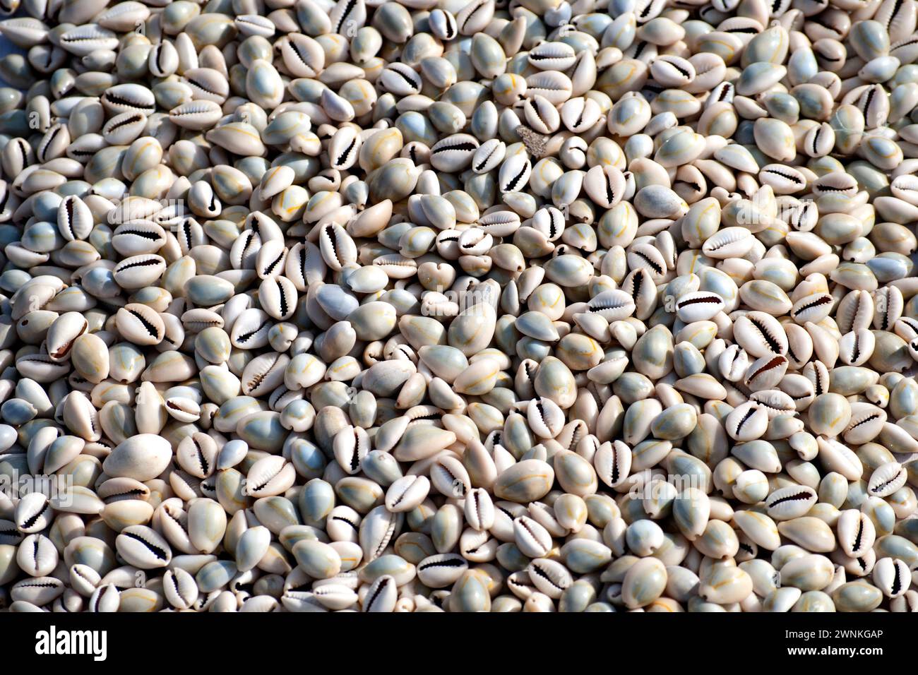 Smal pebbles hi-res stock photography and images - Alamy
