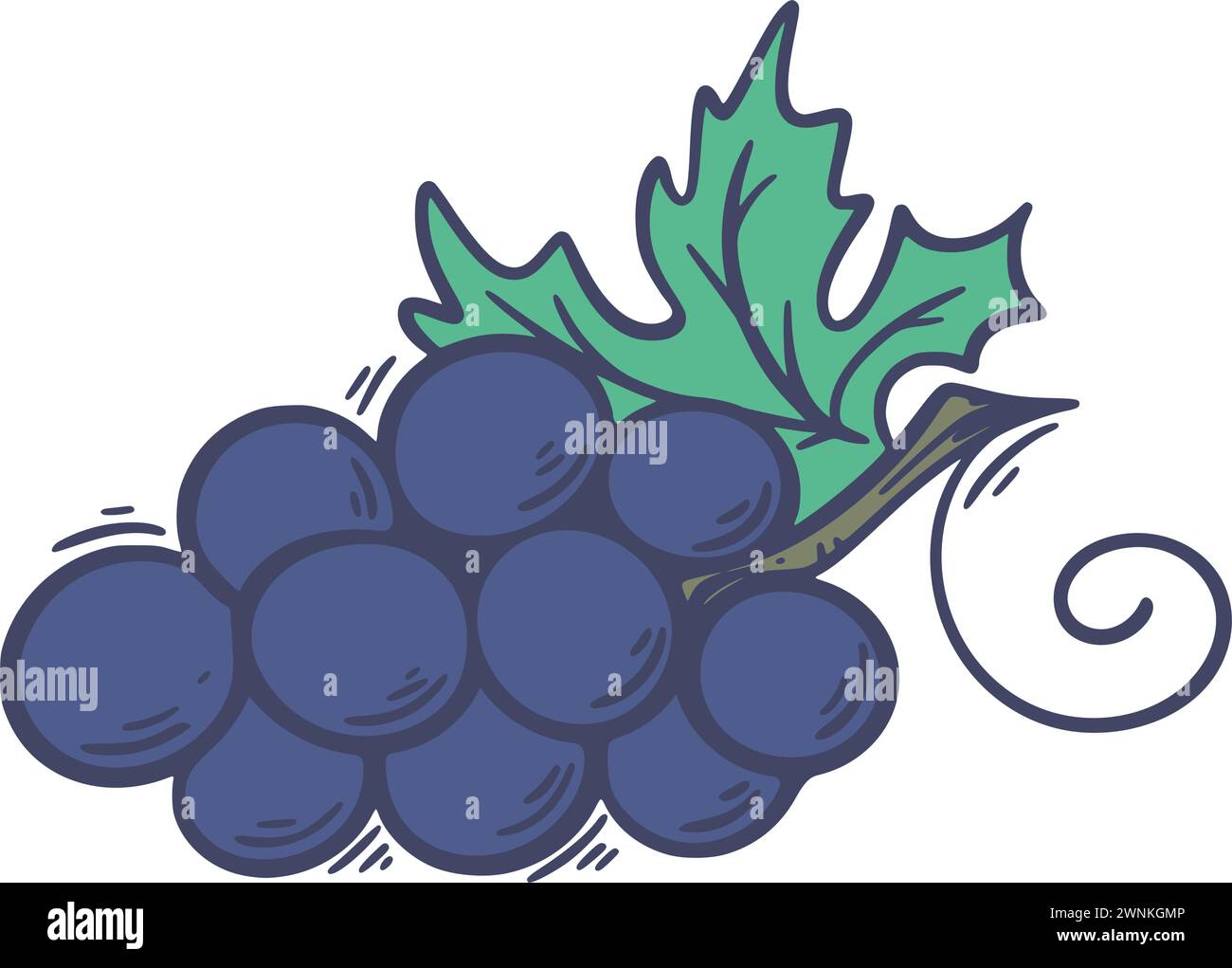 Hand drawn branch of blue grapes, gif vector Stock Vector Image & Art ...