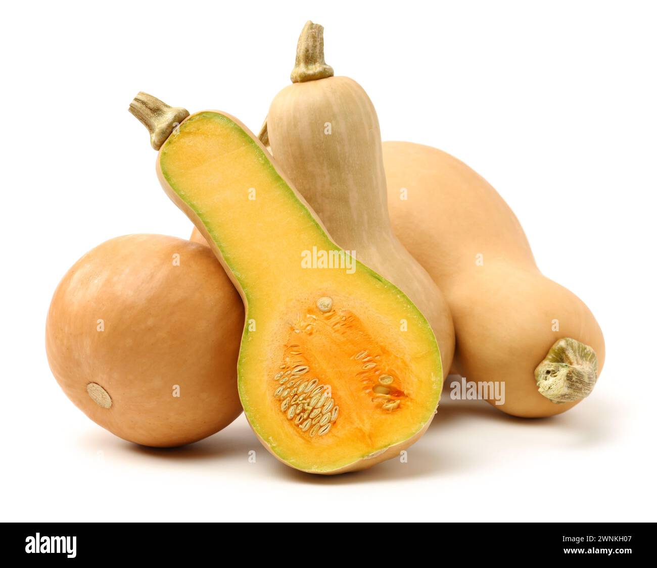 butternut squash isolated on white background Stock Photo - Alamy